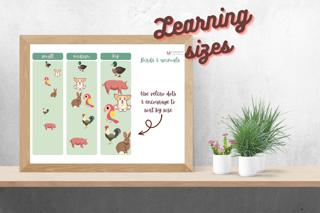 Learning Sizes, Sorting Fun | Sorting Sizes | Preschool Sorting | Sort ...