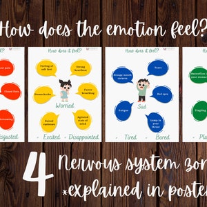 Emotions Nervous System Zones Poster Teach Kids to - Etsy
