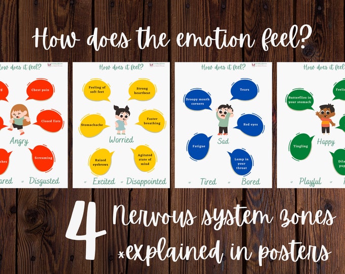 Emotions Nervous System Zones Poster - Teach Kids to Understand Body ...