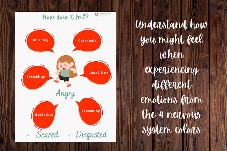 Emotions Nervous System Zones Poster Teach Kids to Understand Body ...