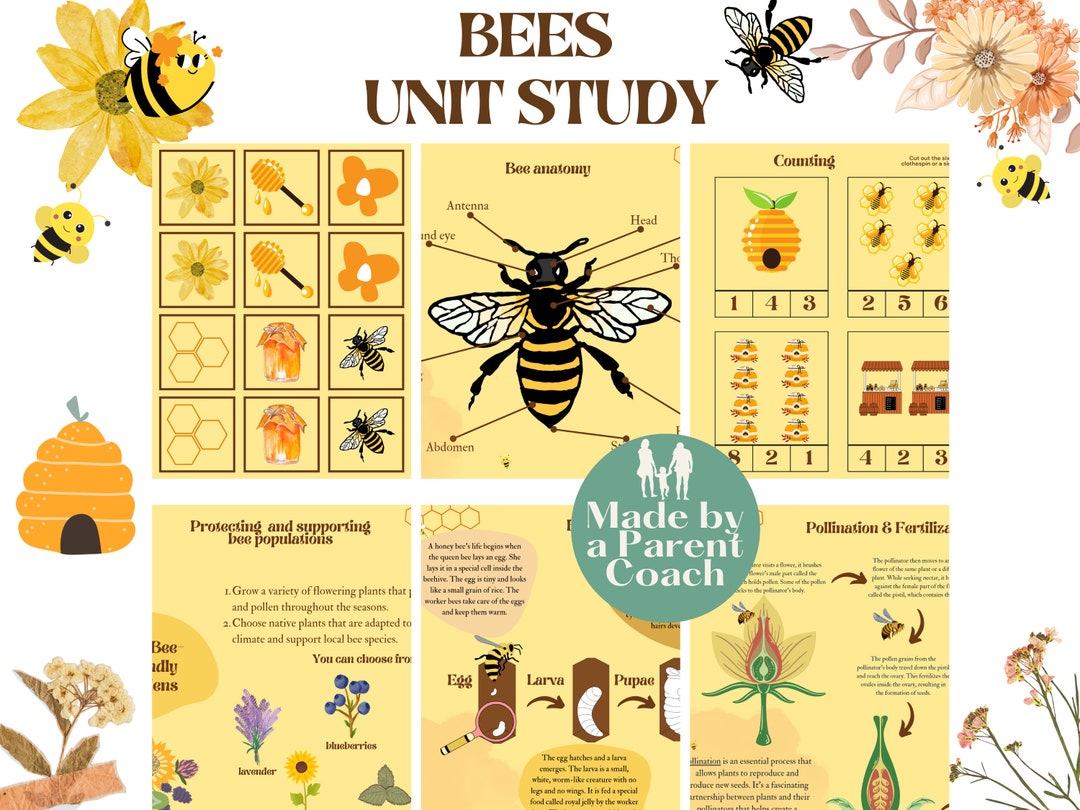 Bee Unit Study - 45 Educational Resources, Bee Lifecycle, Bee ...