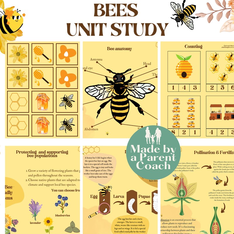 Honey Bee Unit - Etsy