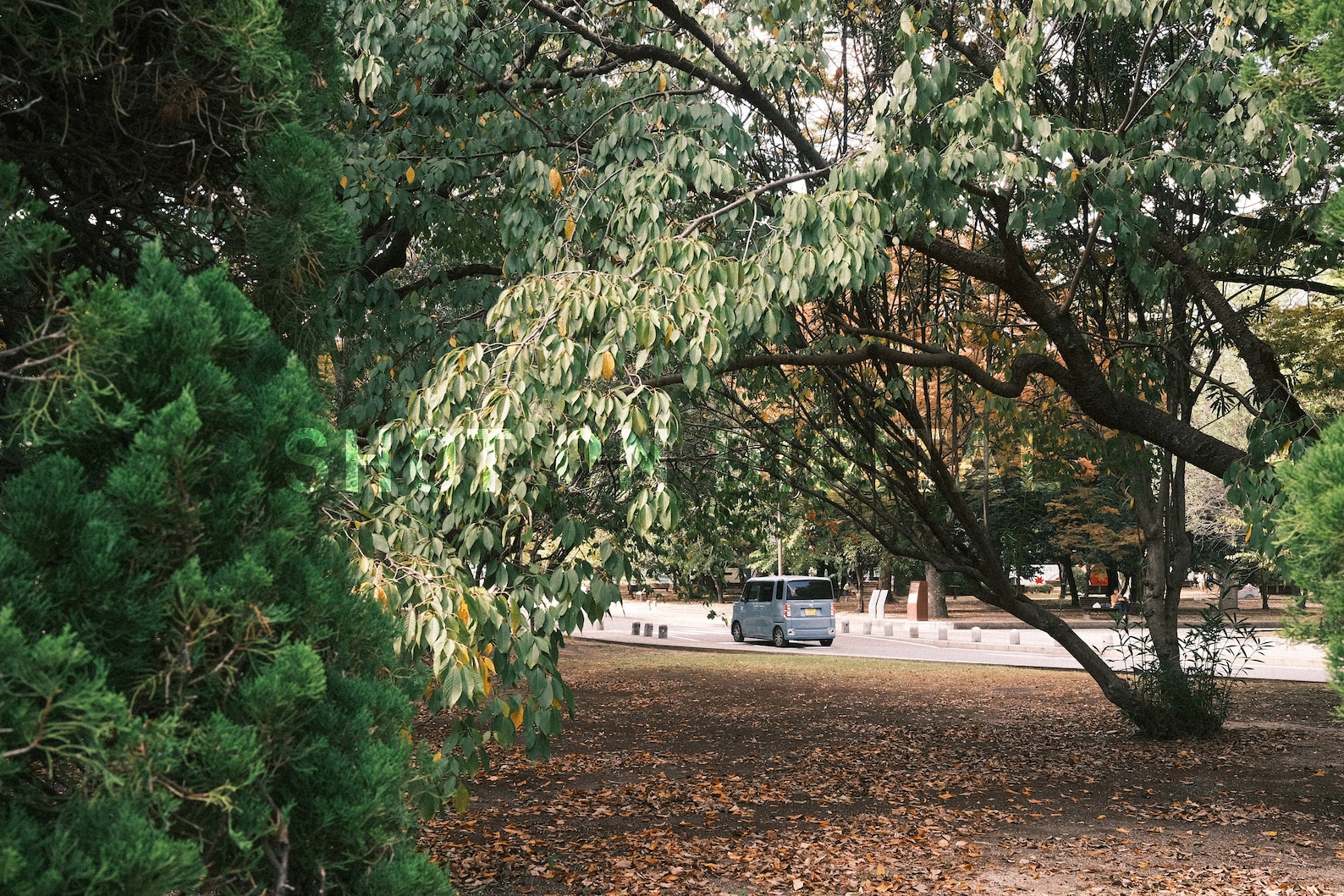 Printable A Blue Car Digital Photo Download - Etsy