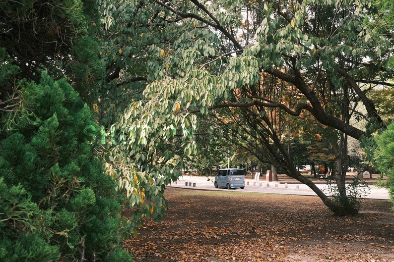 Printable A Blue Car Digital Photo Download - Etsy
