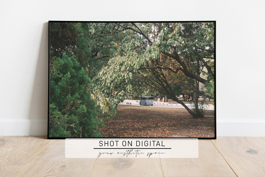 Printable A Blue Car Digital Photo Download - Etsy