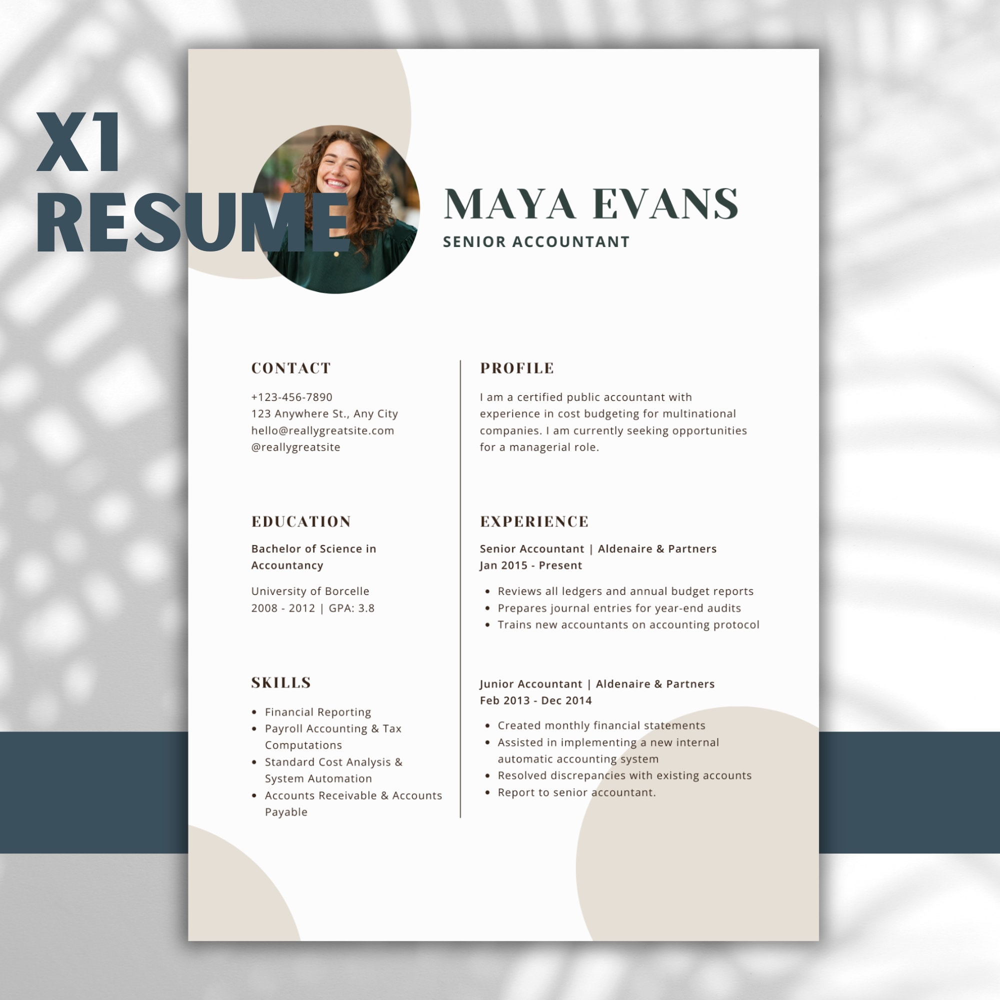 Resume Template Modern CV Template CANVA Template - Etsy