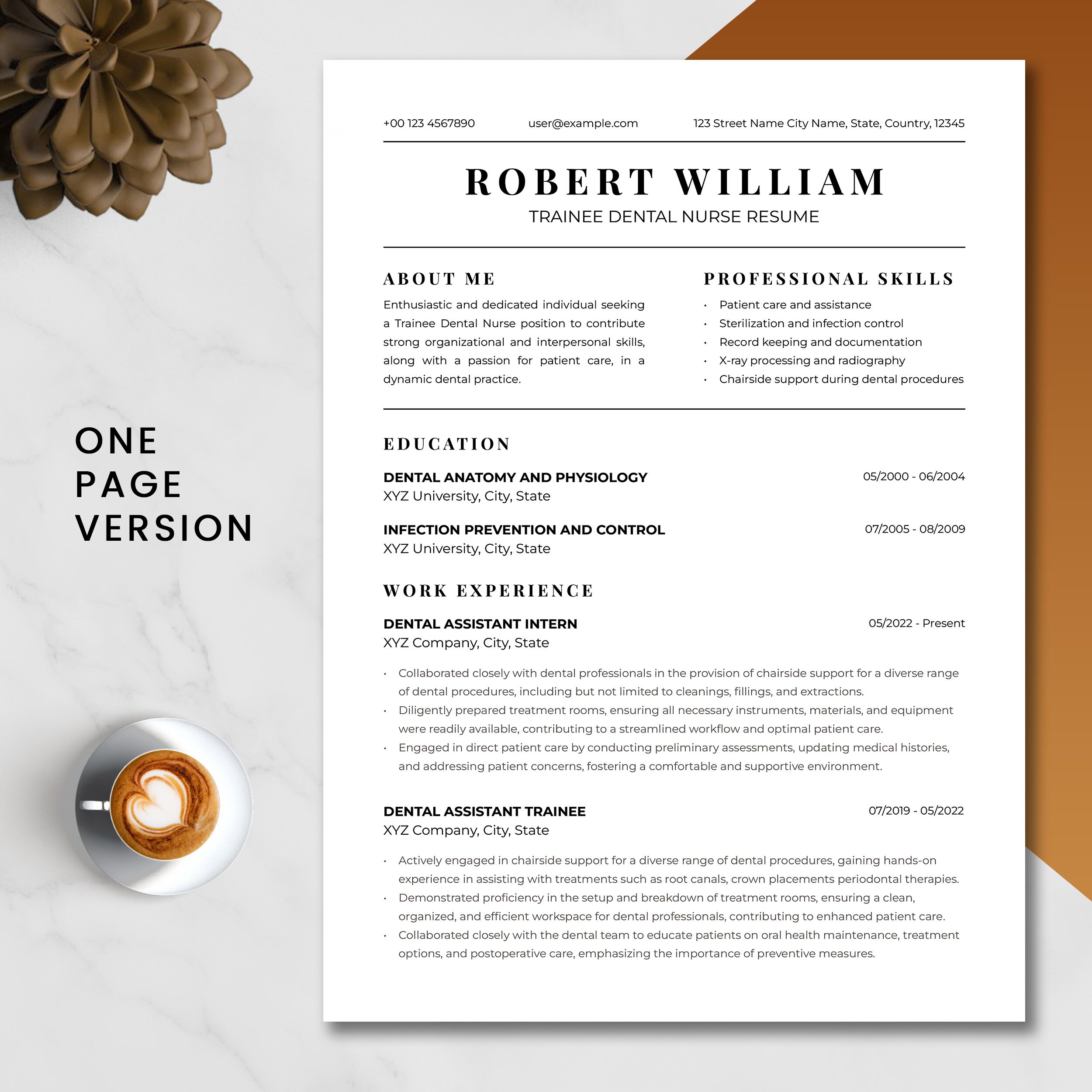 Clean ATS Friendly Trainee Dental Nurse Resume Template Google Docs ...
