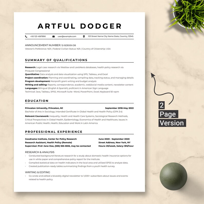 Ats Friendly US Federal Resume Template Google Docs 2024 | Government ...