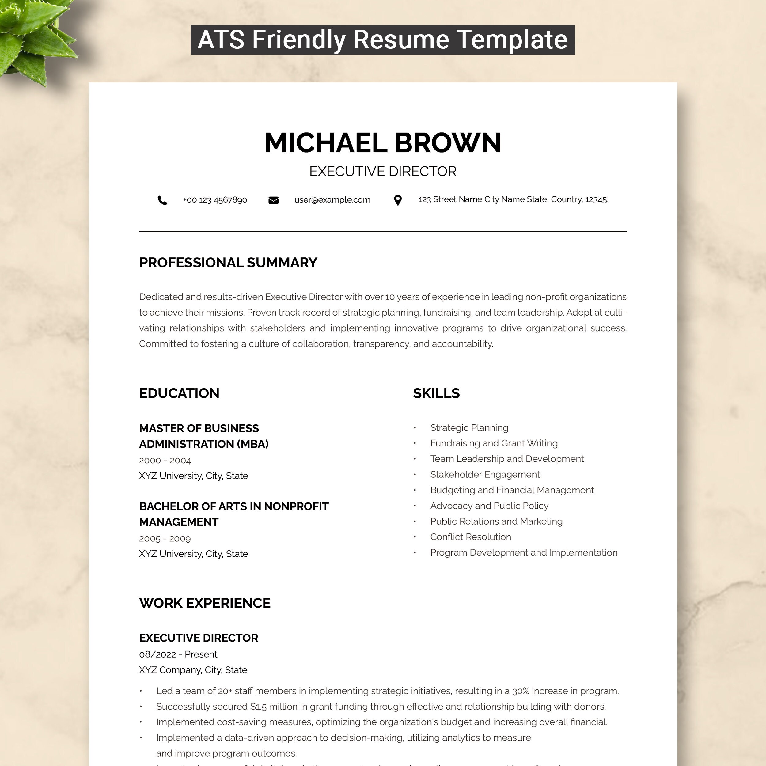 ATS Executive Director Resume Template Google Docs, Word & Pages ...