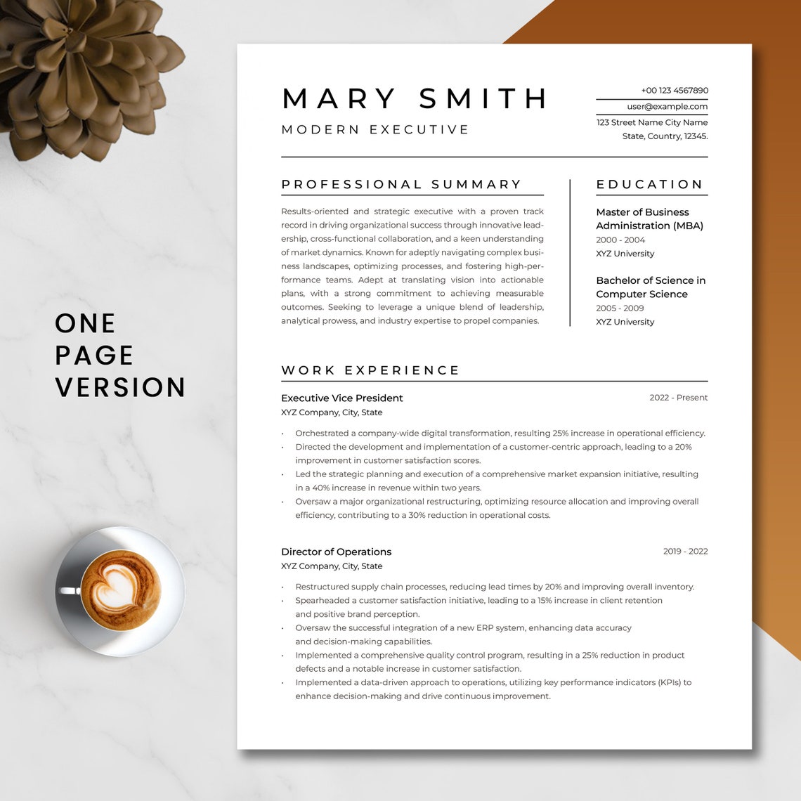 ATS Friendly Modern Executive Resume Template No Image Business Resume ...