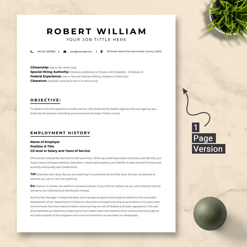 ATS Friendly Resume Template for Usajob, Usajob Resume Template Google ...