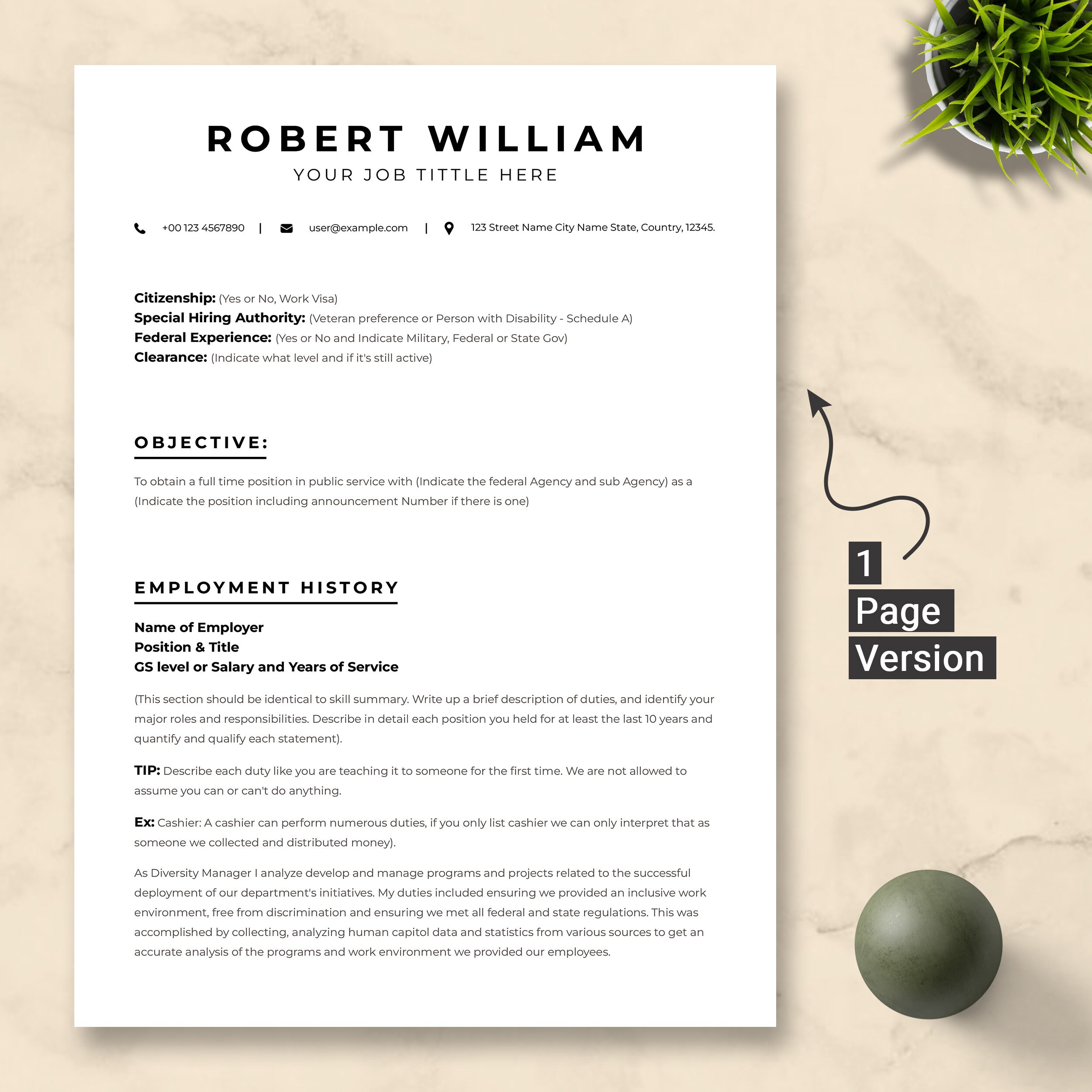 ATS Friendly Resume Template for Usajob, Usajob Resume Template Google ...