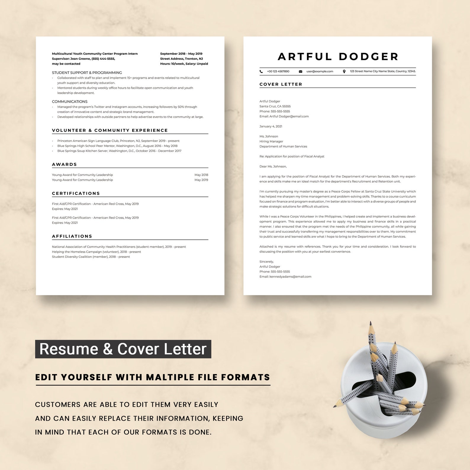Ats Friendly US Federal Resume Template Google Docs 2024 | Government ...