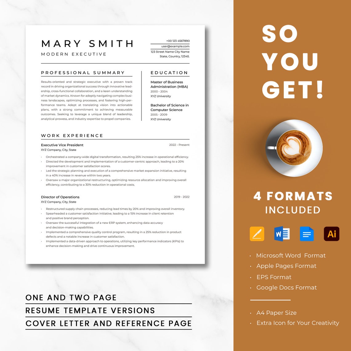 ATS Friendly Modern Executive Resume Template No Image Business Resume ...