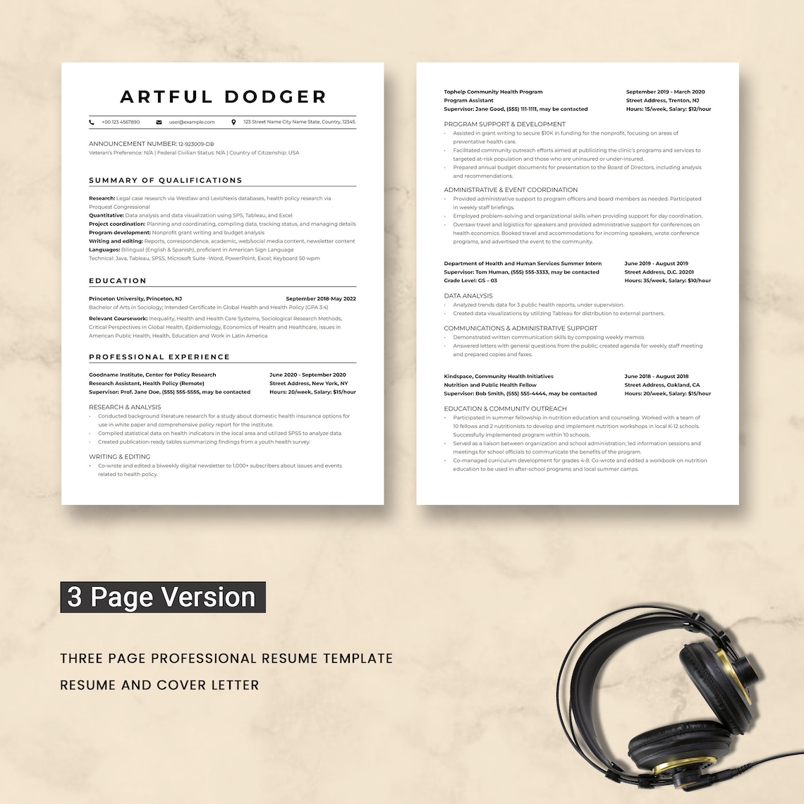 Ats Friendly US Federal Resume Template Google Docs 2024 | Government ...