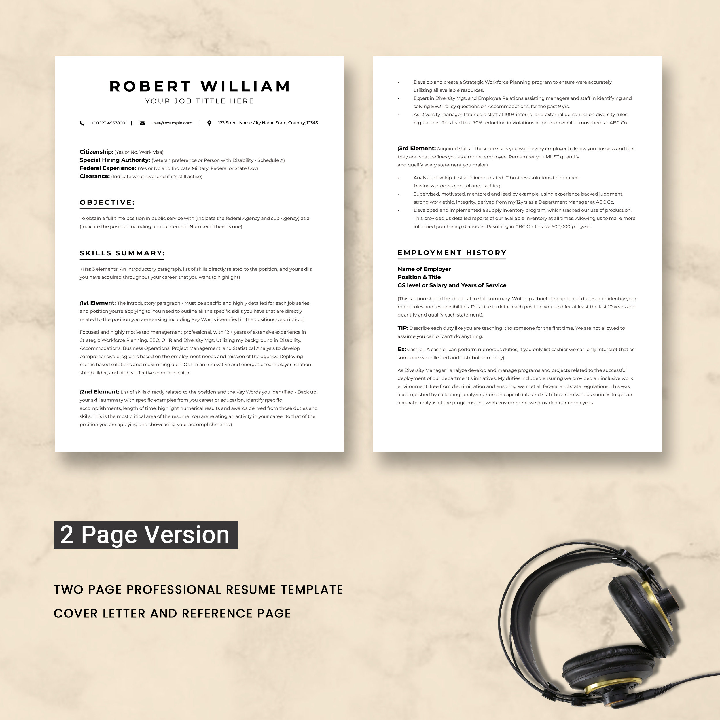 ATS Friendly Resume Template for Usajob, Usajob Resume Template Google ...