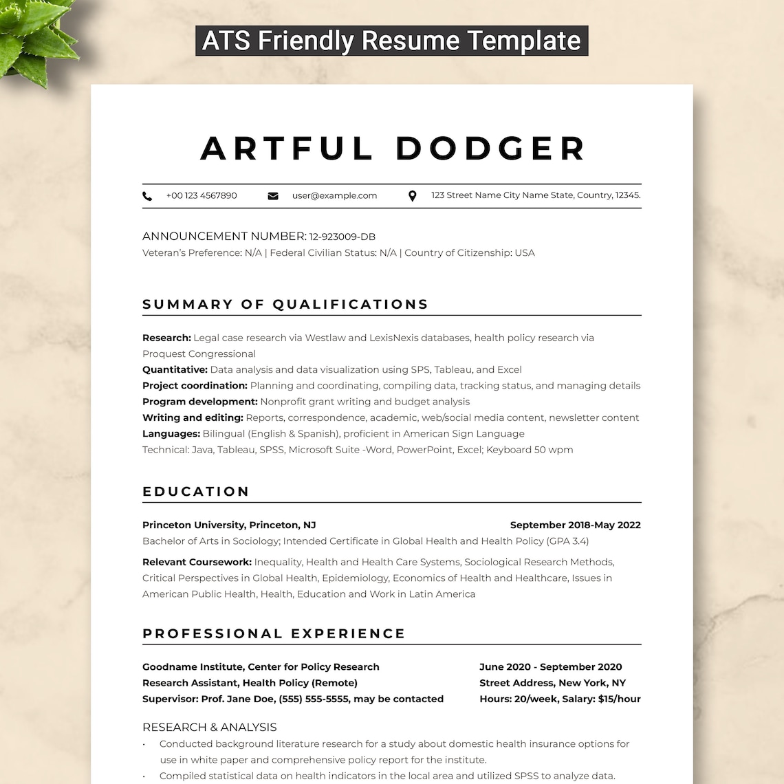 Ats Friendly US Federal Resume Template Google Docs 2024 | Government ...