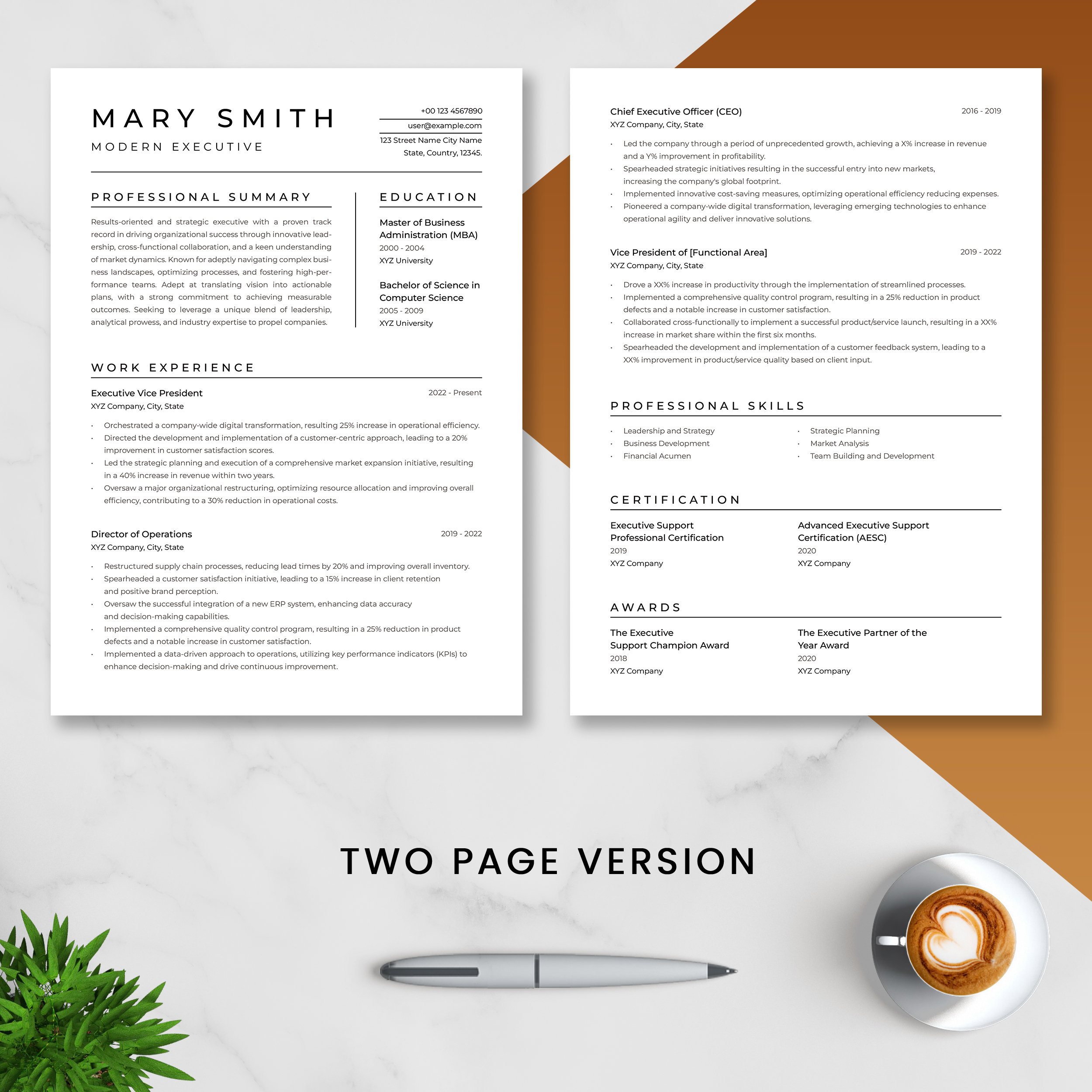 ATS Friendly Modern Executive Resume Template No Image | Business ...