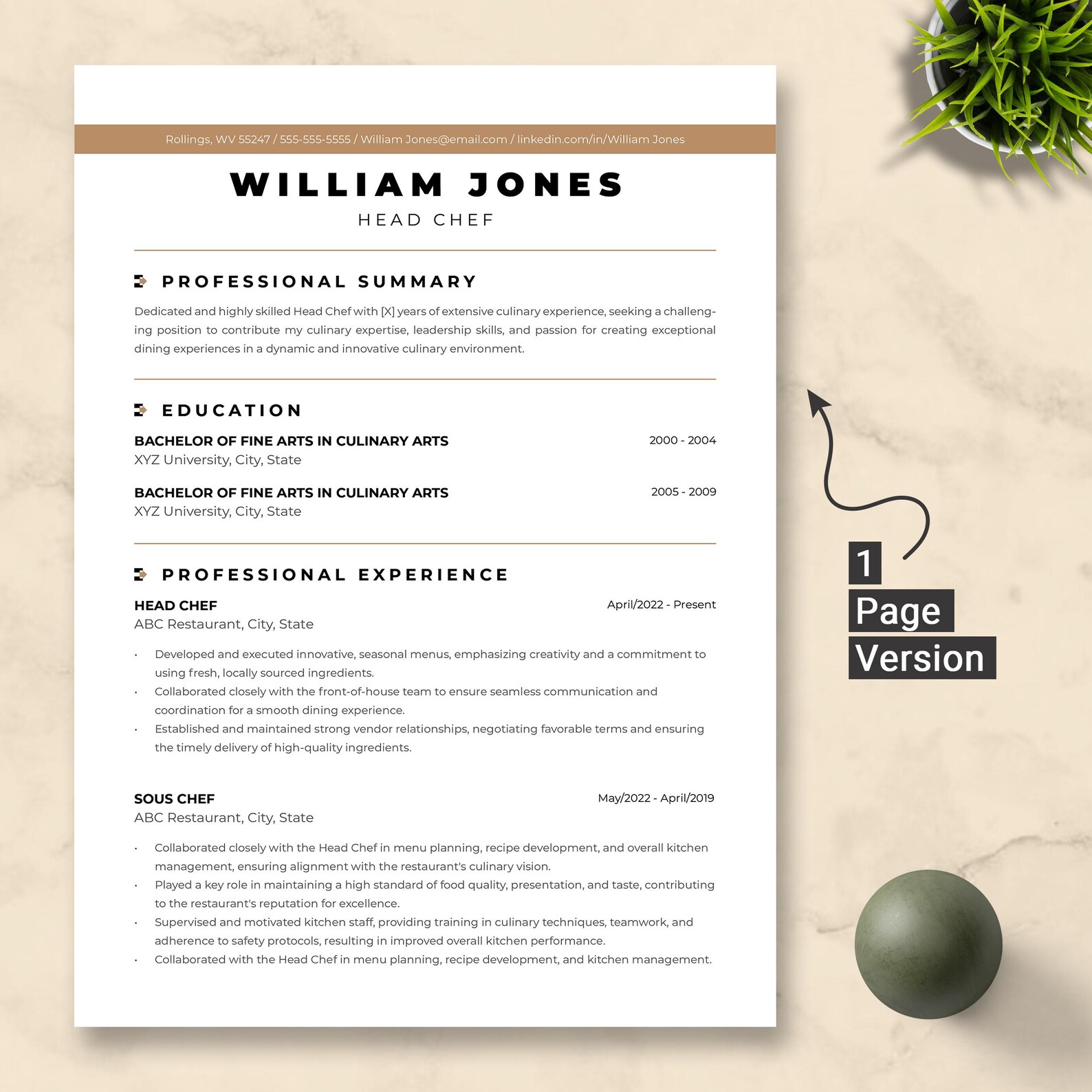 Head Chef Resume Template Word, Google Docs, Mac Pages Editable Resume ...