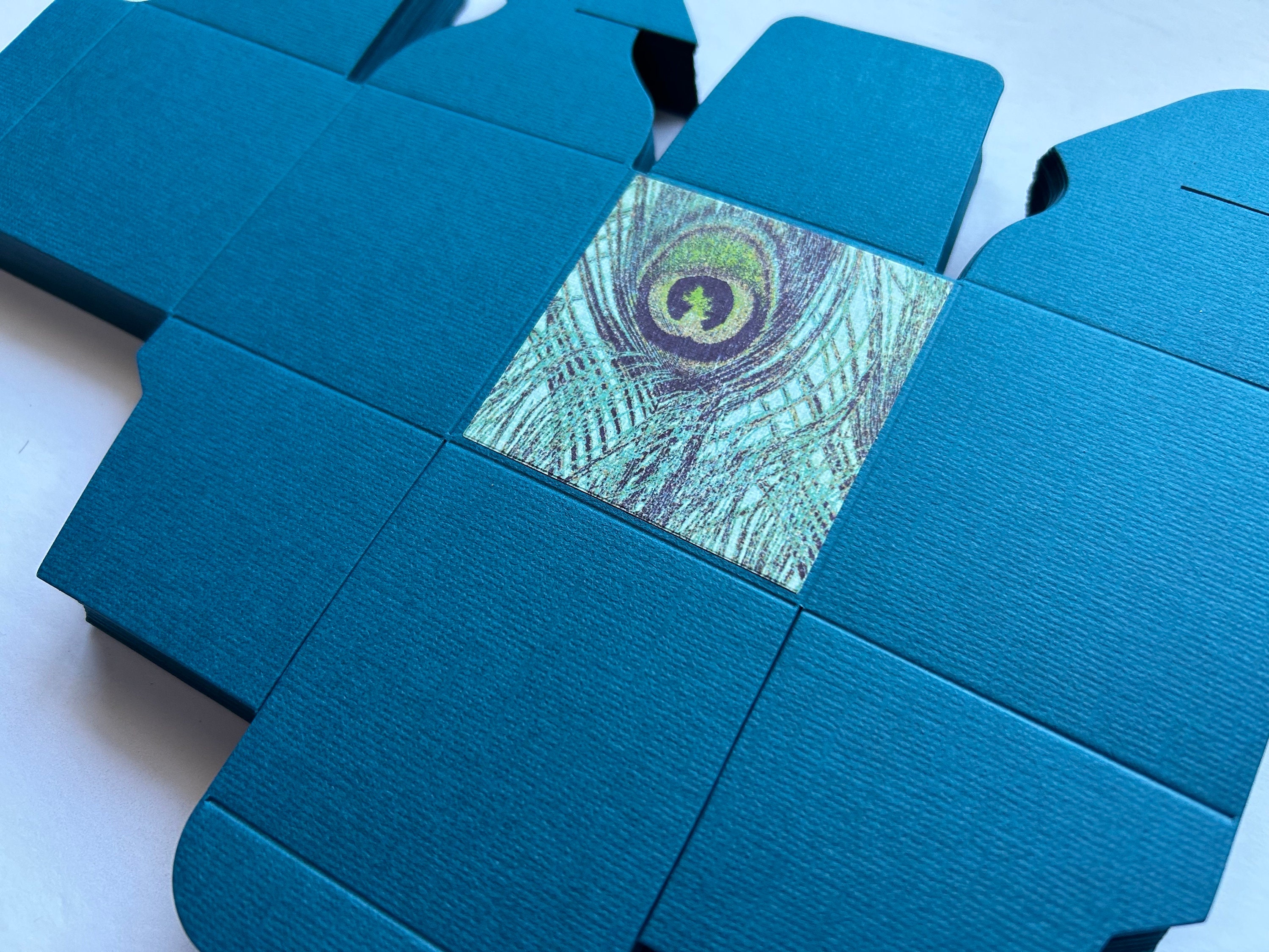 Peacock Favors, Peacock Favor Box, Peacock Wedding Favors, Peacock ...