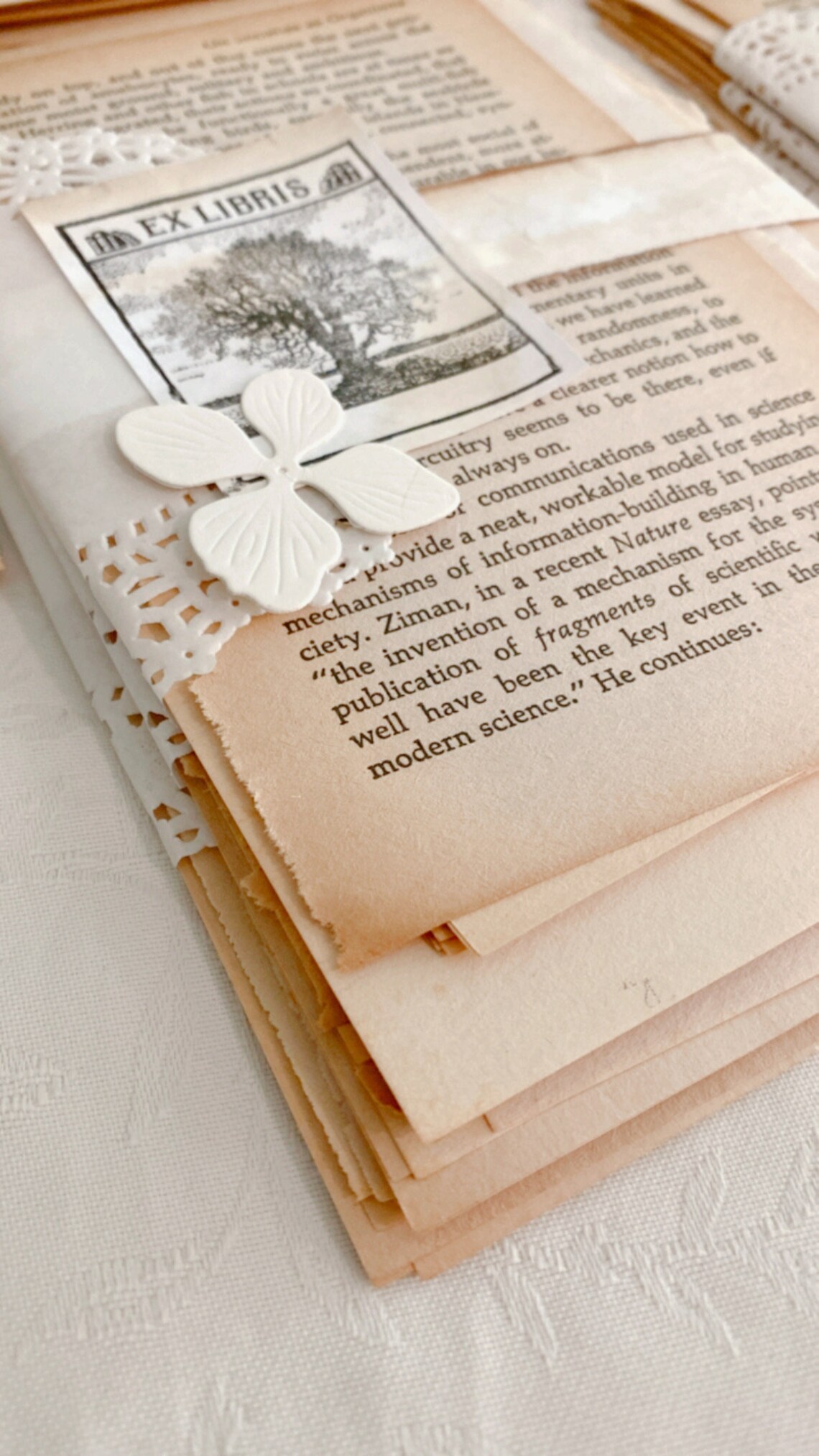 Vintage Book Pages Bundle I Old Book Sheets I for Junk Journals | Paper ...