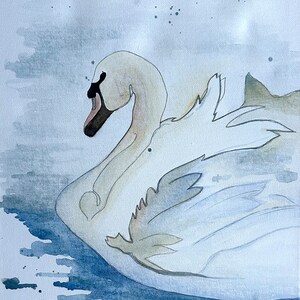 Swan Watercolour Painting - Etsy