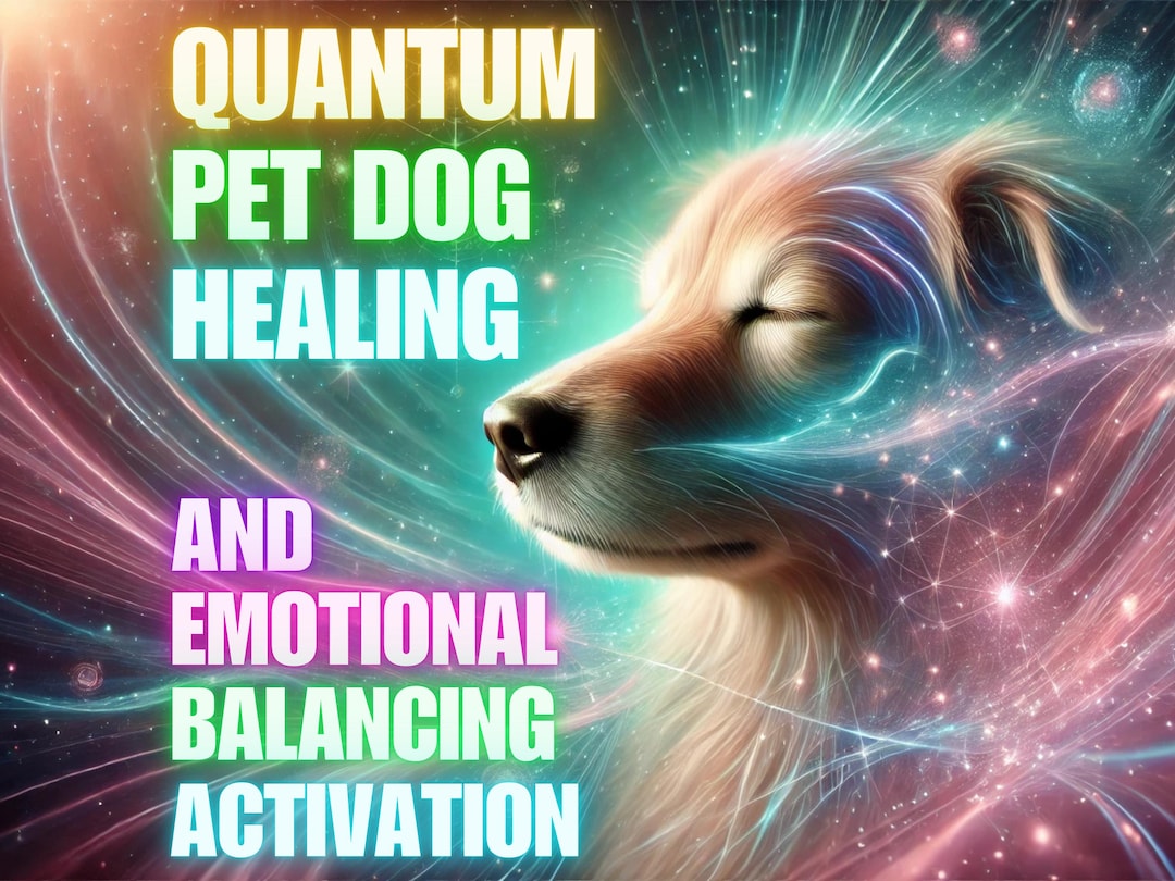 Quantum Pet Dog Healing & Emotional Balancing Activation - Etsy