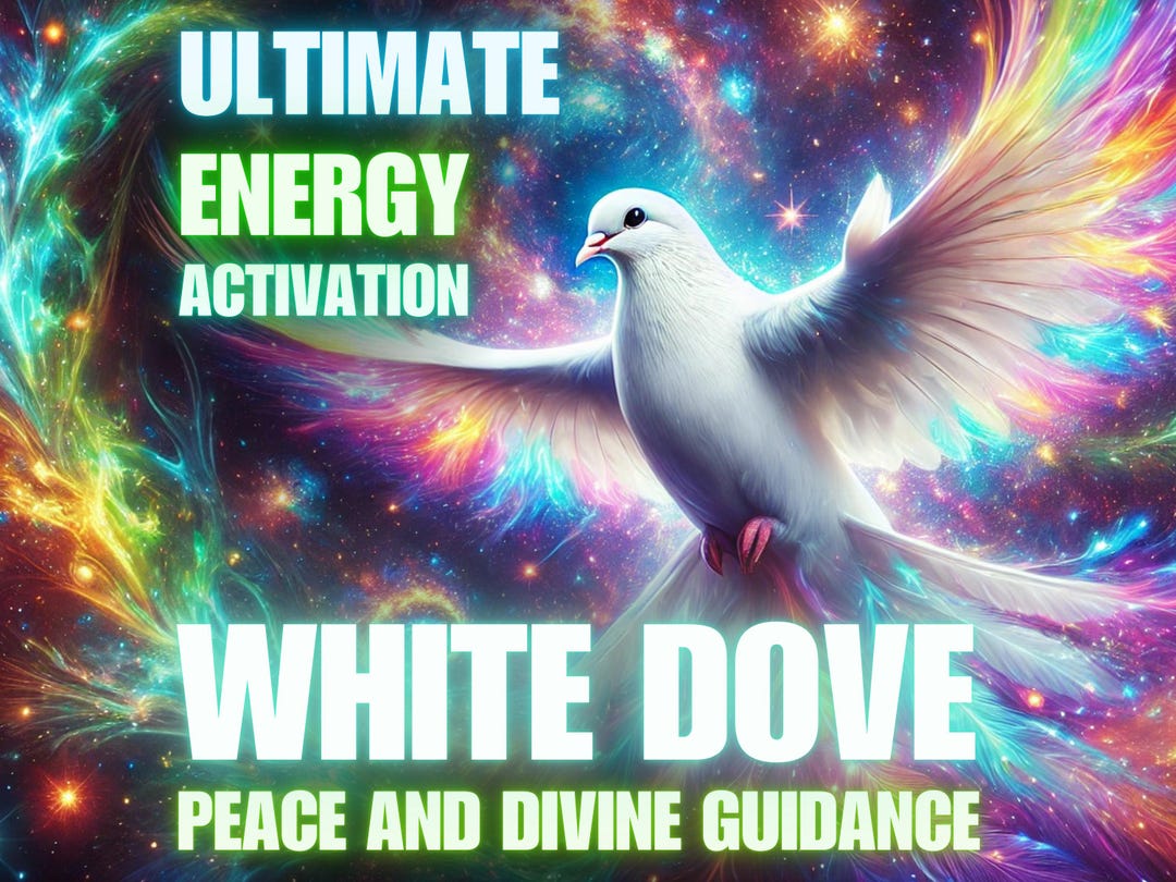 White Dove Ultimate Energy Activation for Peace and Divine Guidance - Etsy