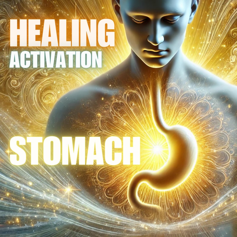 Heart Digestive Health - Etsy