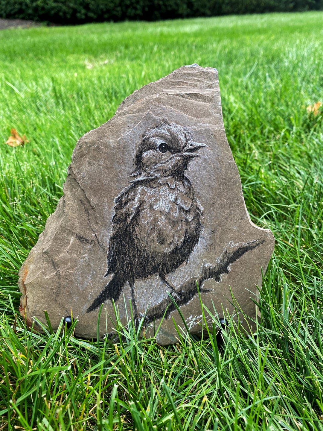 Chirp Slate Original Charcoal Drawing the Rock Artist - Etsy