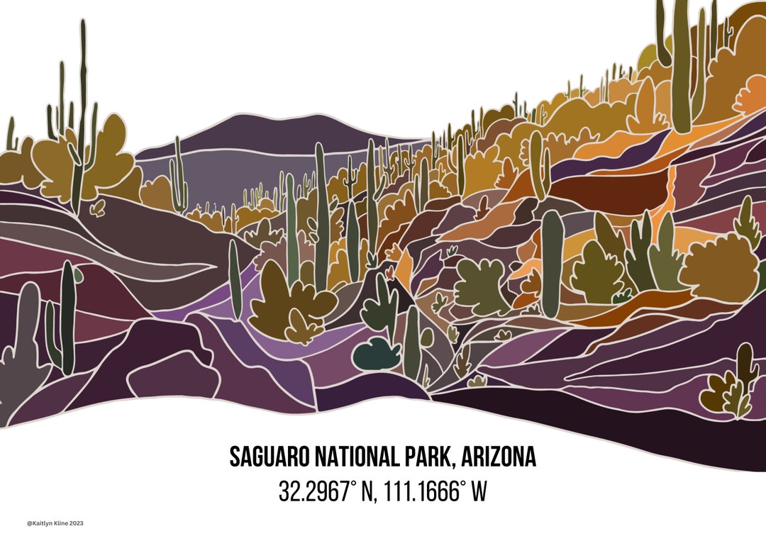 Saguaro National Park Arizona Line Art With Coordinates (landscape ...