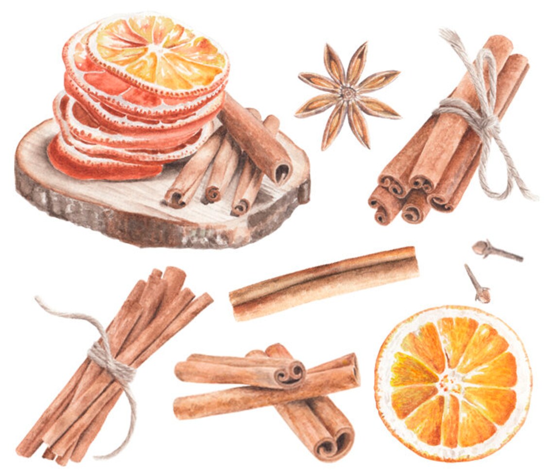 Cozy Winter Spices Clipart Set Watercolor Cinnamon Stick Clipart Dried ...