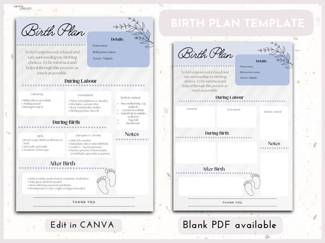 Birth Plan Template Editable Canva Birth Plantemplate New Mom Planner ...