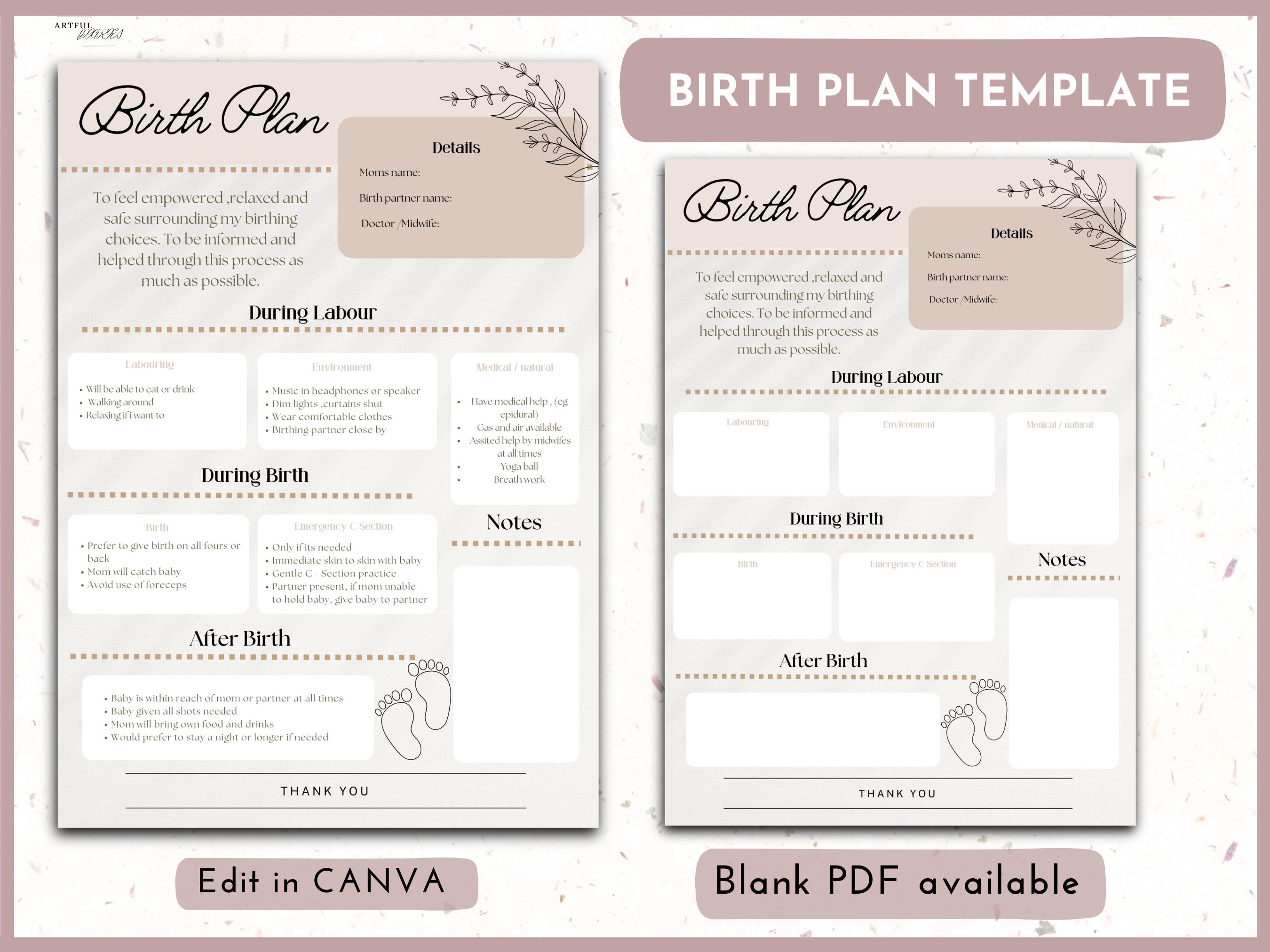 Birth Plan Template Editable Canva Birth Plan Template New Mom Planner ...