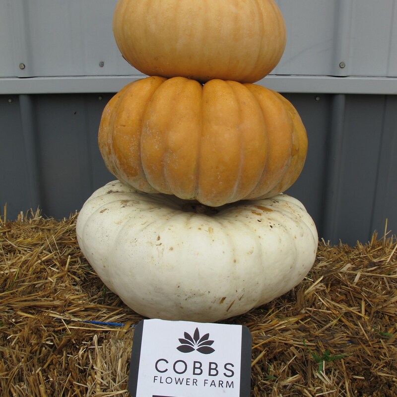 CobbsFlowerFarm - Etsy