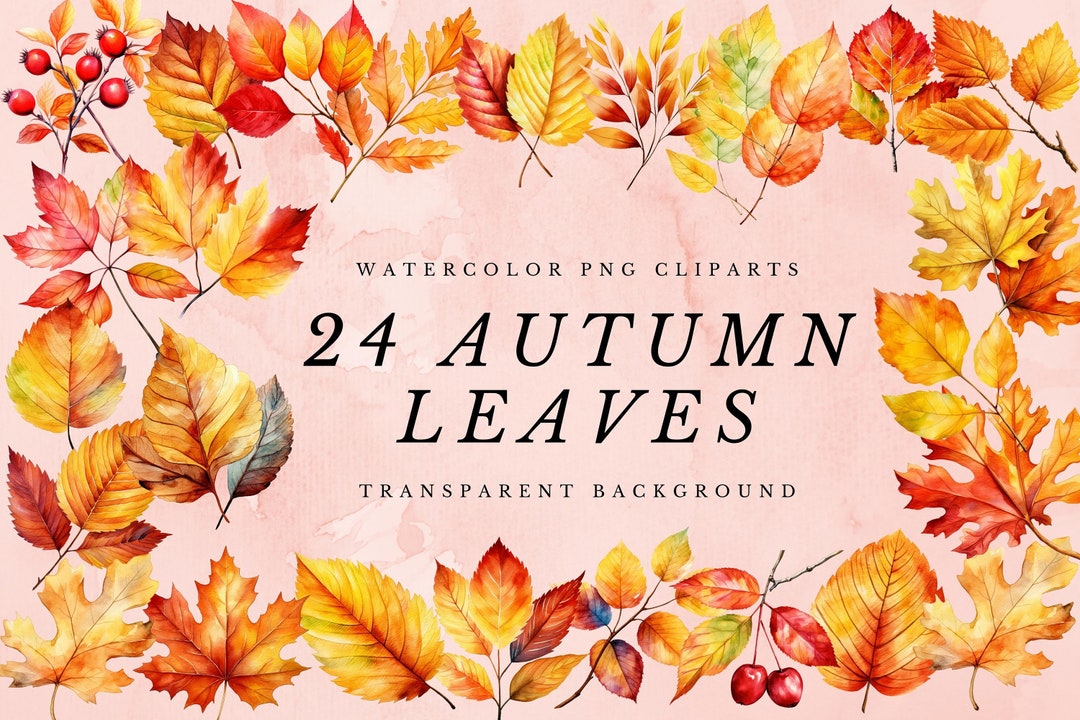 Autumn Leaves Clipart Watercolor Bundle - 24 PNG Images Download ...