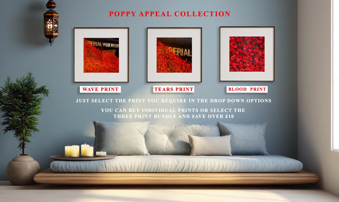 Poppy Appeal Print: Imperial War Museum North Abstract Art - Etsy