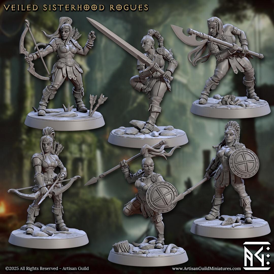 Veiled Sisterhood Rogues by Artisan Guild for D&D, Dungeons and Dragons ...
