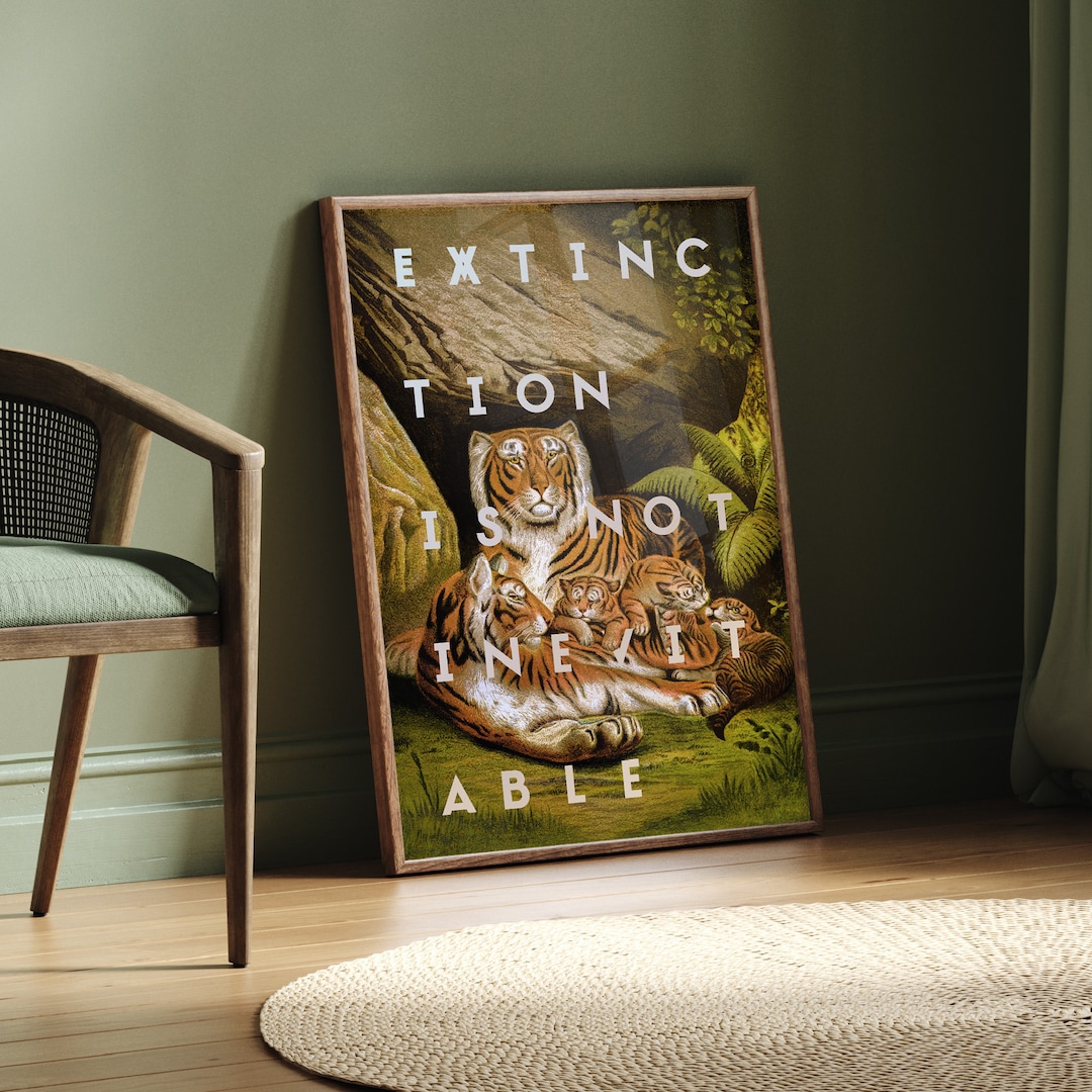 Siberian Tiger Art Print for Contemporary and Vintage Decor. Unframed ...