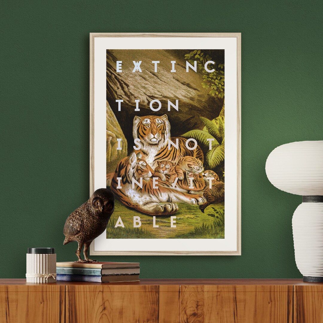 Siberian Tiger Art Print for Contemporary and Vintage Decor. Framed ...