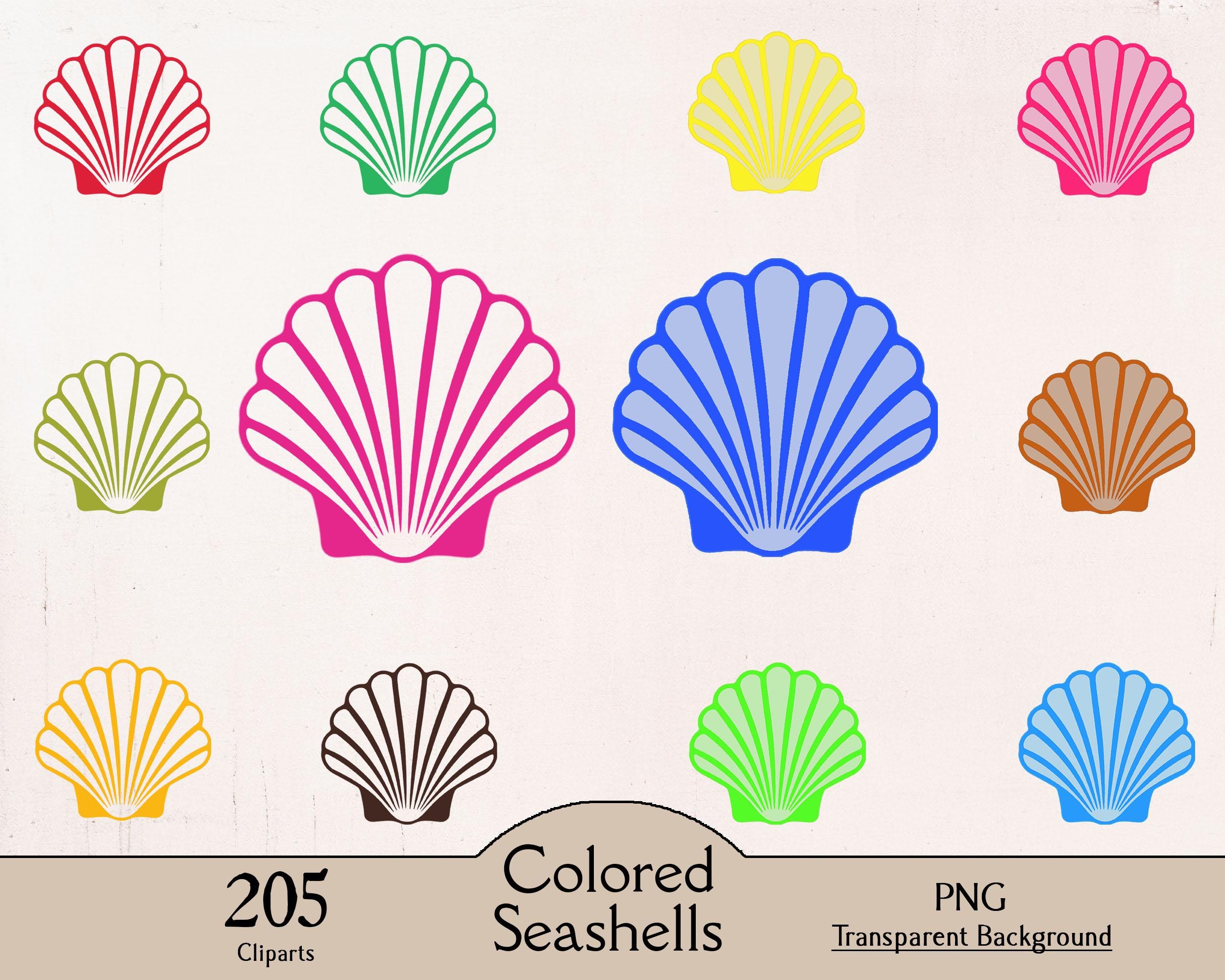 Colorful Seashells, 205 PNG Cliparts, Seashel Outline, Colored ...