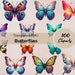 Butterflies, 100 PNG Cliparts, Colored Butterfly, Rainbow Butterfly ...