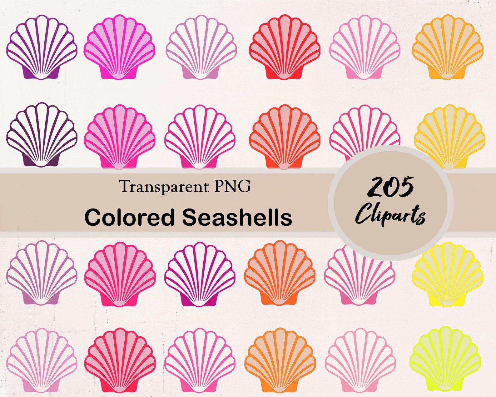 Colorful Seashells, 205 PNG Cliparts, Seashell Outline, Colored ...