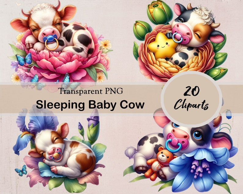 Sleeping Baby Highland Cow, Clipart, 20 PNG, Cute Cow, Clipart, Baby ...