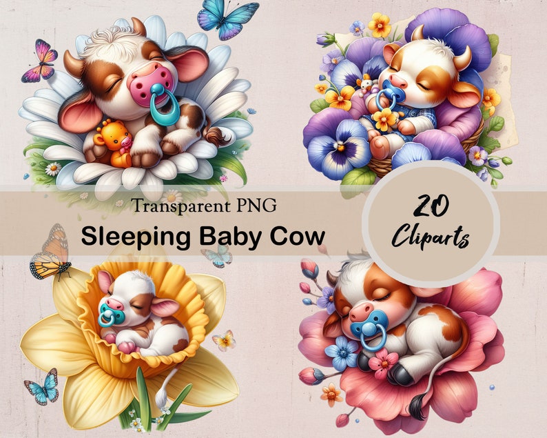 Sleeping Baby Highland Cow, Clipart, 20 PNG, Cute Cow, Clipart, Baby ...