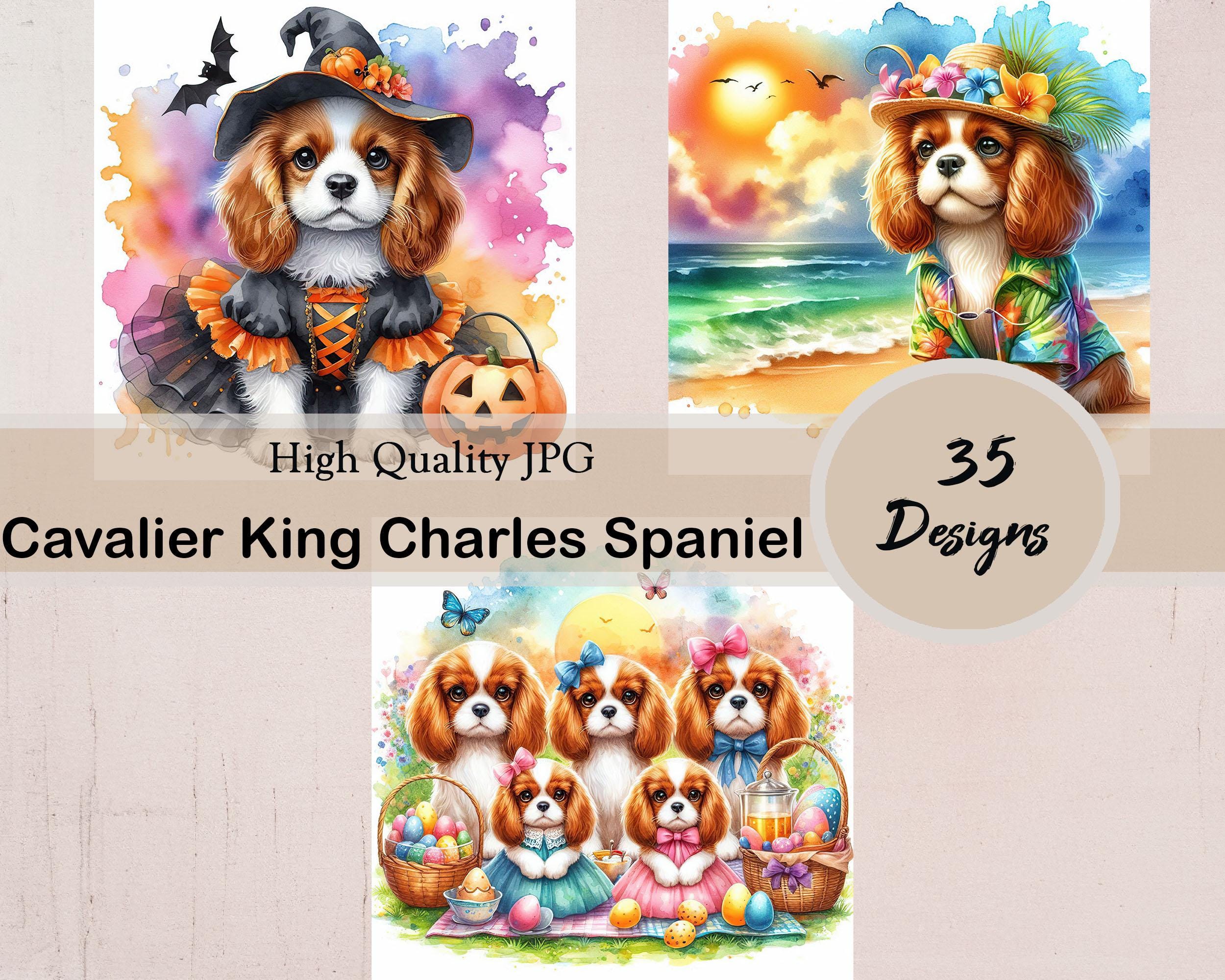 Cavalier King Charles Spaniel, 35 JPG Images, Dog Clipart, Portrait ...