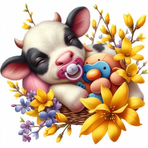 Sleeping Baby Highland Cow, Clipart, 20 PNG, Cute Cow, Clipart, Baby ...
