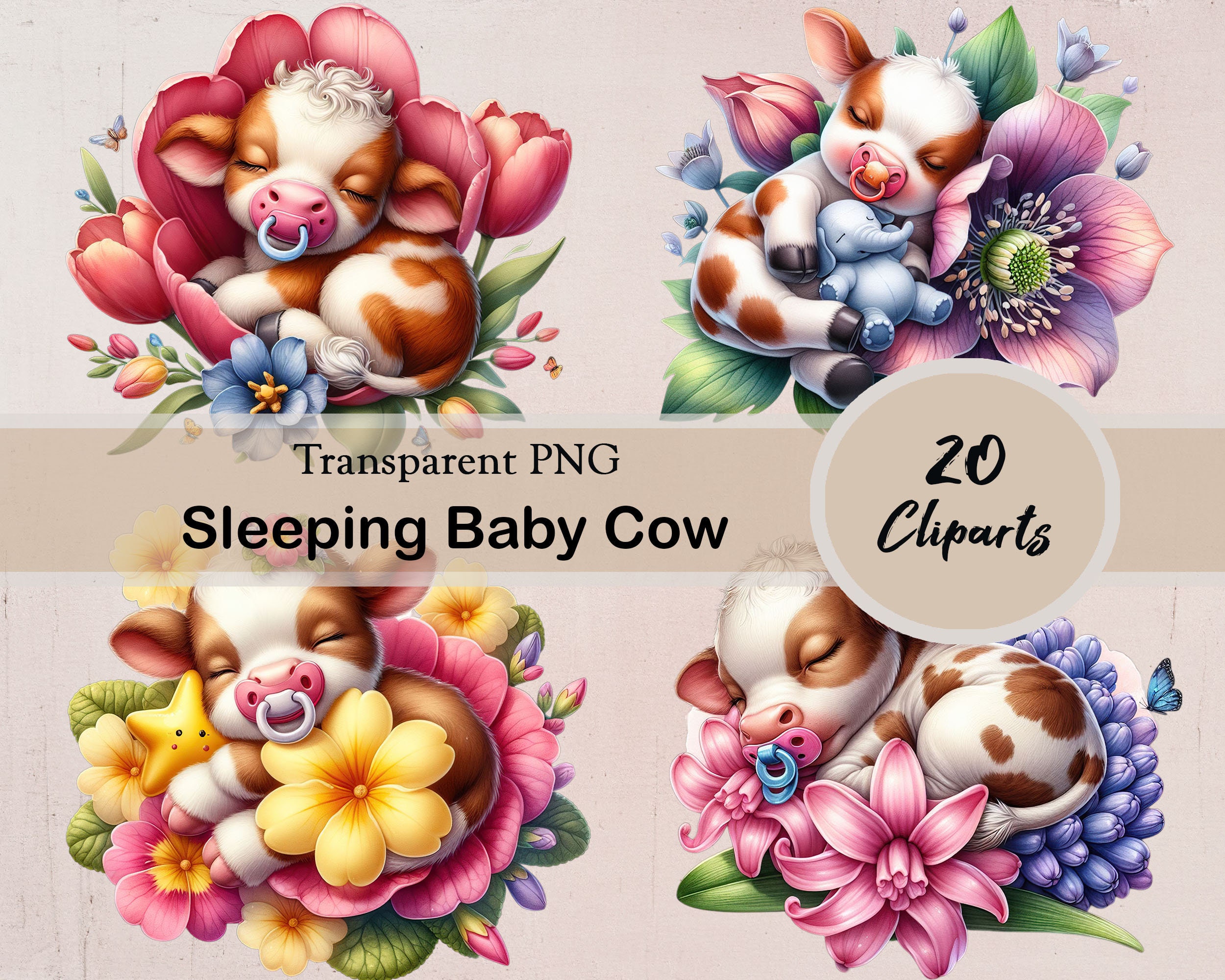 Sleeping Baby Highland Cow, Clipart, 20 PNG, Cute Cow, Clipart, Baby ...