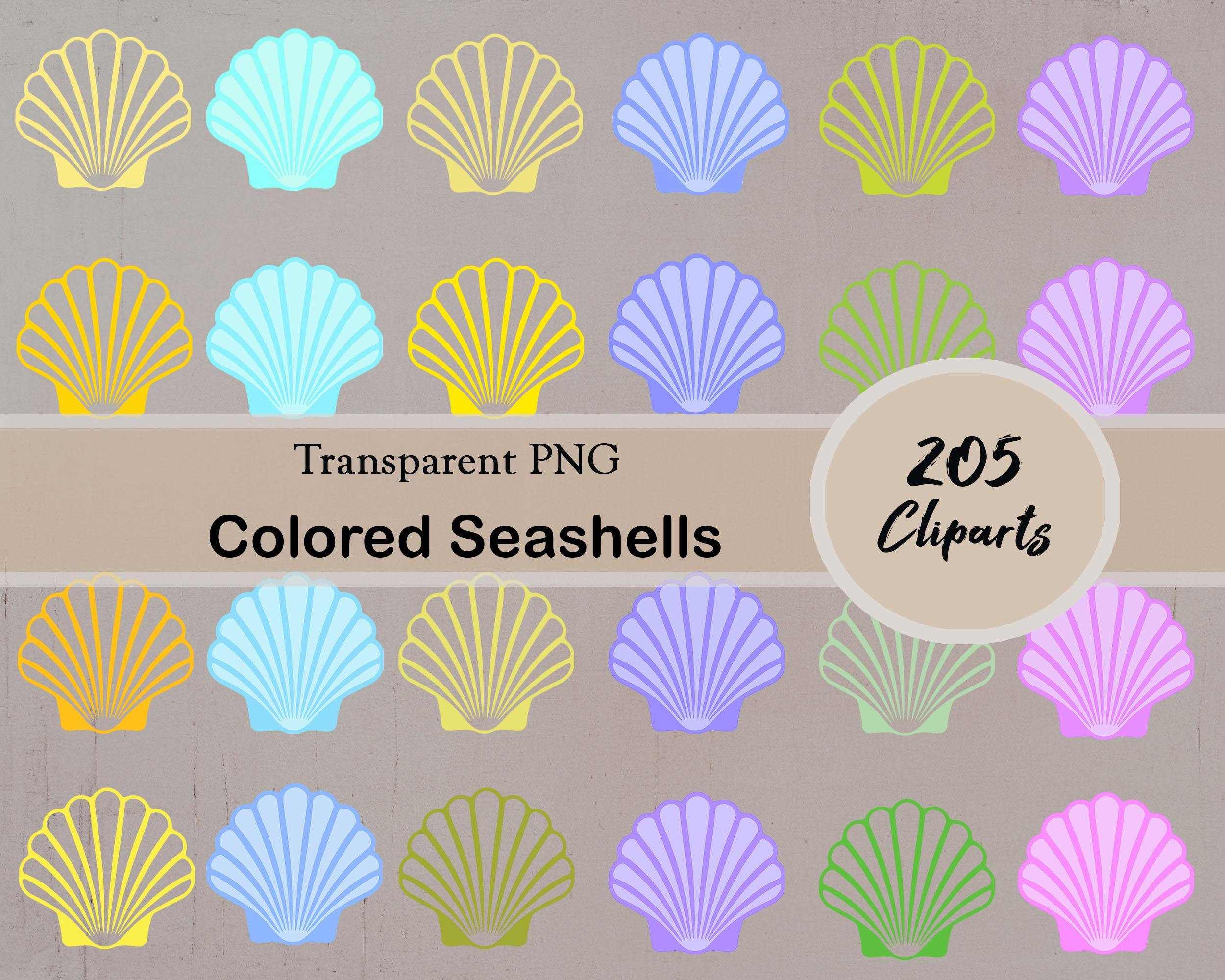 Colorful Seashells, 205 PNG Cliparts, Seashel Outline, Colored ...