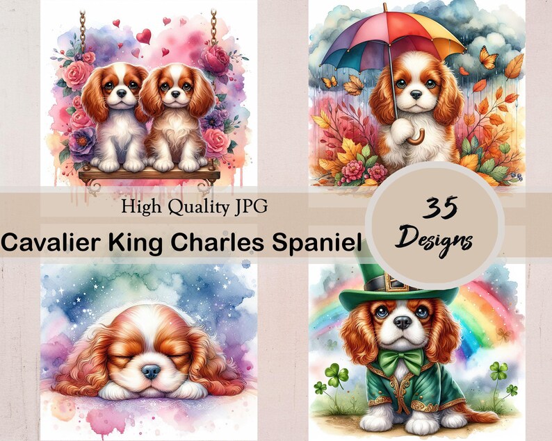 Cavalier King Charles Spaniel, 35 JPG Images, Dog Clipart, Portrait ...